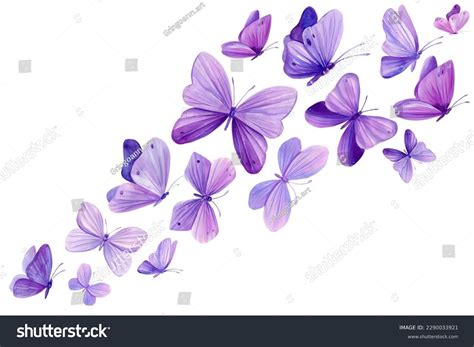 163 128 Imágenes Fotos De Stock Objetos En 3d Y Vectores Sobre Butterfly For Purple Color