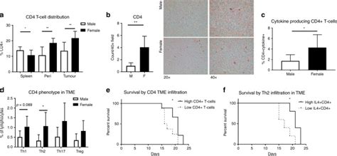 The Role Of Sex In The Innate And Adaptive Immune Environment Of