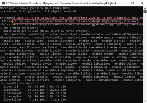 如何使用 Ffmpeg 通过命令行界面播放 Rtsp 流