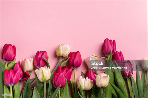 밝은 배경에 핑크 튤립 어머니의 날 생일 축하 개념입니다 엽서 0명에 대한 스톡 사진 및 기타 이미지 0명 계절 기념일
