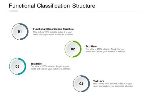 Functional Classification Structure Ppt Powerpoint Presentation Visuals