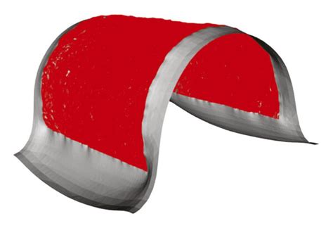The Full Section Tunnel Surface Obtained By Poisson Construction