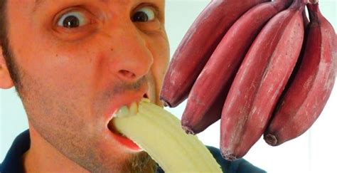 The Rarest Exotic Fruits Youve Never Heard Of