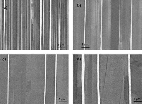 Sem Bse Micrographs Of The Pst Tial Microstructurem A Homogenized