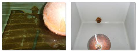 Water Tank Cleaning Aiwa Pest Control Dubai Water Tank Cleaning