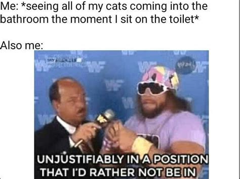 Weve All Been There Scrolller Weve All Been There Scrolller