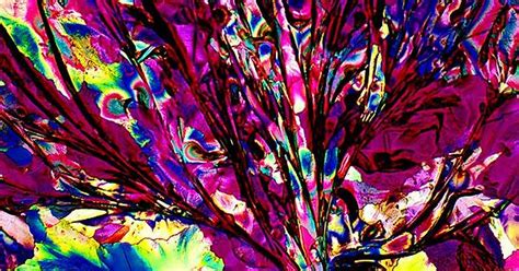 Amazing Photographs Of Alcoholic Drinks Under The Microscope Album On