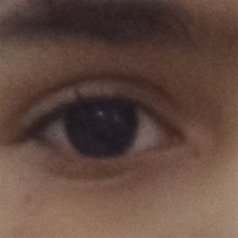 يوميات حسين ماجد Youtube