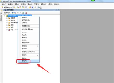 sql server 2008 忘记sa密码的解决方法 sqlserver2008sa密码忘记无法设置主体的凭据 csdn博客