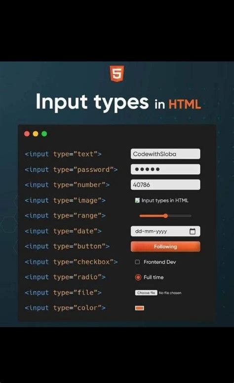 web development programing tricks and tips for beginners free web development programming