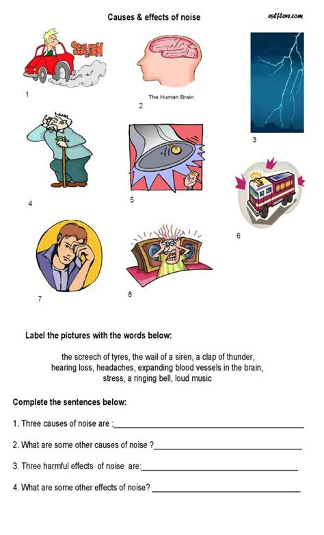 Elementary Causes Effects Of Noise Worksheet For ESL Babes