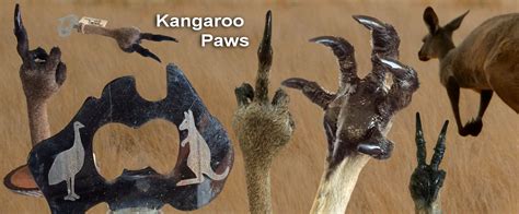 Genuine Aussie Ts And Souvenirs Unique And Quirky Kangaroo Balls
