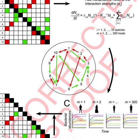 Representation Of The Workflow In An Interaction Network Singular