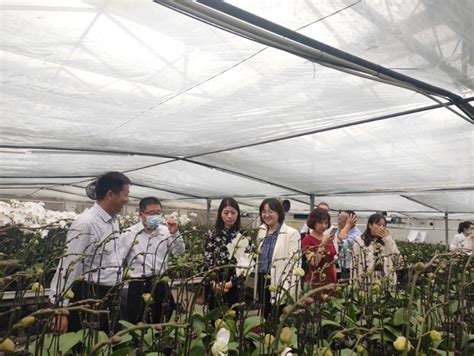 连云港市农商控股集团有限公司 江苏省贸促会一行参观考察农业科技公司