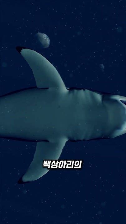 최대 150톤의 절단력을 가진 Youtube