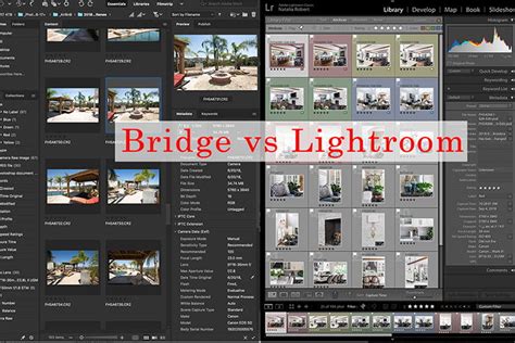 Adobe Bridge Review Best Free Alternative To Lightroom