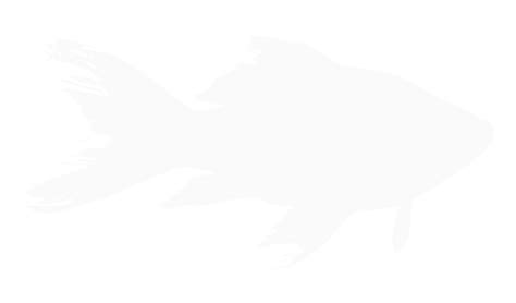 Svg 물고기 꼬리 착한 애 수족관 무료 Svg 이미지 및 아이콘 Svg Silh