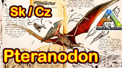 Jak Ochočit Pteranodon Ark Survival Evolved Cz Sk Tutorial Návod