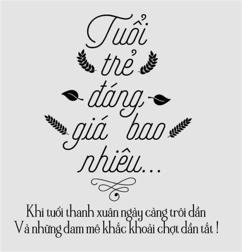 Top Anh Chu Dep Hay Nh T Vi T Nam