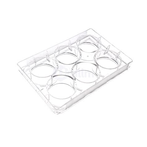 6 Well Cell Culture Plate Flat Bottom Clear Sterile Ucallmlabs
