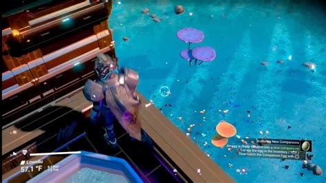 Nms Pirate Hub Nms Piratehub Twitter