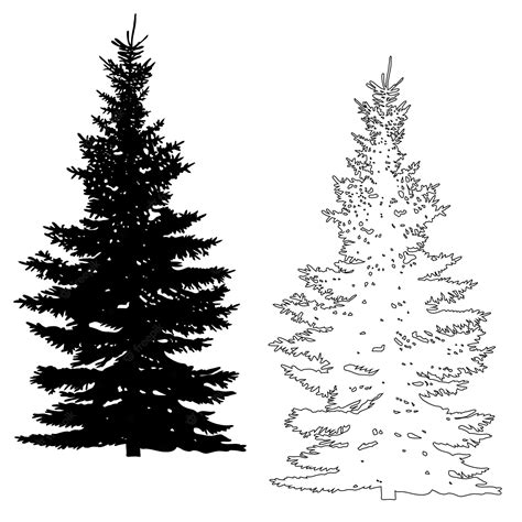Premium Vector A Black And White Drawing Of A Conifer Tree