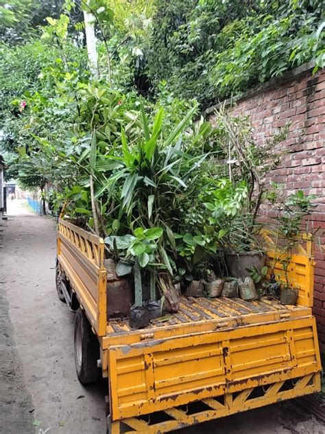 শখের ছাদ বাগান শখের ছাদ বাগান Added A New Photo