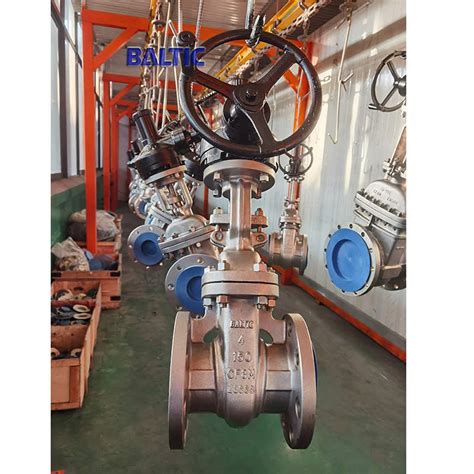 Astm A351 Cf8m Flexible Wedge Gate Valve 3in Cl150 Api 600 Baltic