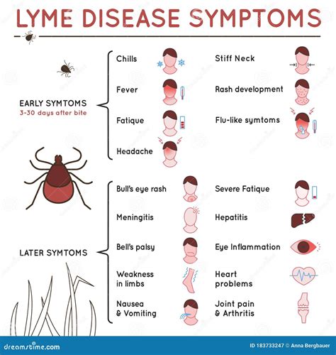 Lyme Borreliosis Royalty Free Illustration 75579465