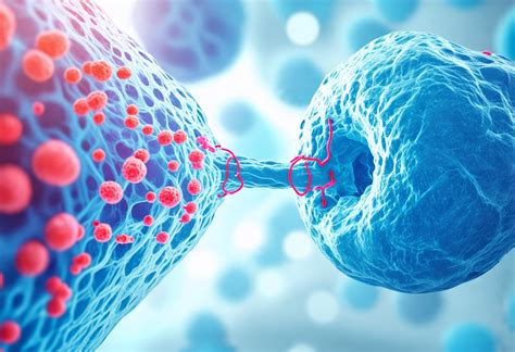 Understanding Embolization Of Avm A Comprehensive Guide Healthtrip