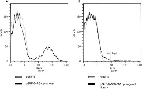 Identification Of Promoter Regions In The Human Genome By Using A