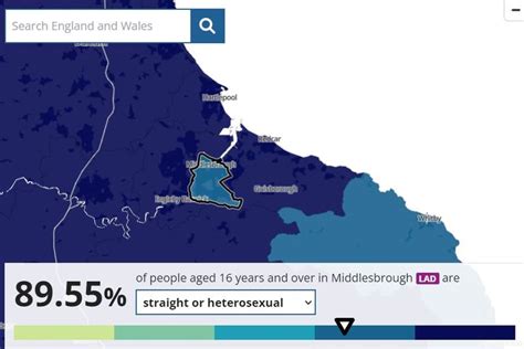 Straight Homosexual Or Bi Census Data Map Reveals Teessides Sexual