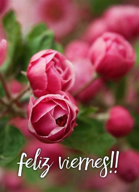 Buenas Noches Imágenes Y Frases Lindas Página 4 De 12 Imagenes de