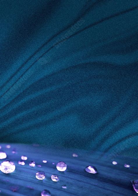Cold Dew Solar Term Page Border And Printable Background In Word
