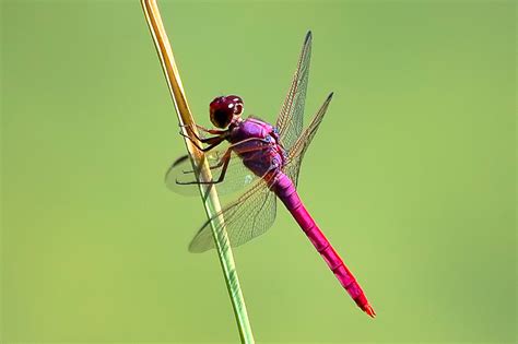 Florida Nature Photography
