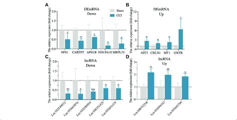 Randomly Validation Of Degs From Rna Seq Via Qrt Pcr A The