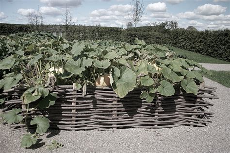 Garten Marihn