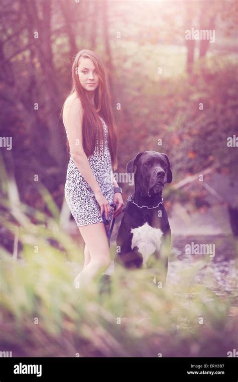 Woman And Great Dane Stock Photo Alamy