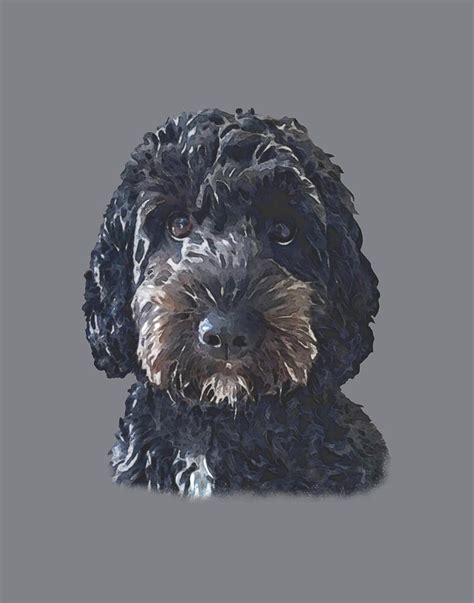 Black Cockapoo Doodle Dog Painting By Sabrina Dale Pixels