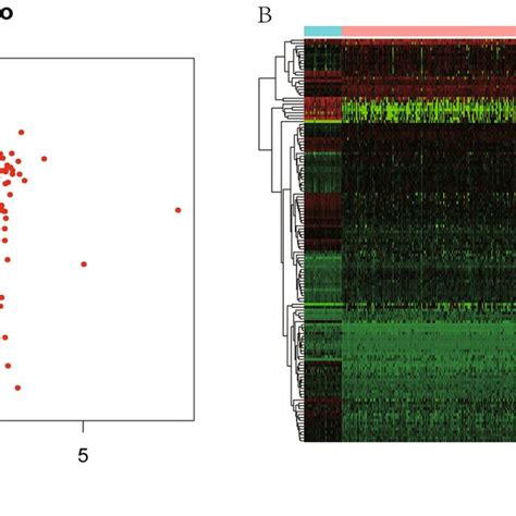 Volcano Plot And Heatmap Of Differentially Expressed Metabolic Genes