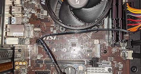 Internals Album On Imgur