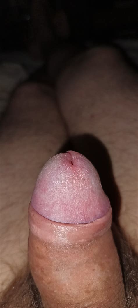 Jerimah Morning Wood Photo 19