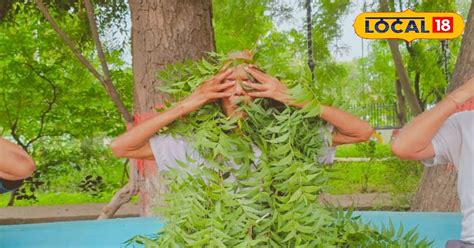 बारिश नहीं होने पर इस अनोखे तरीके से इंद्रदेव को रिझाने का है रिवाज पत्तों से ढककर निकाला जाता