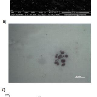 A Scanning Electron Microscope SEM Micrographs Showing Individual