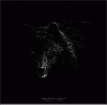 Werewolf Semper Fidelis Fidelity Of Ideology Split 7 Werewolf