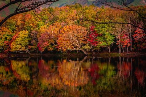 知床自然中心旅游景点HOKKAIDO LOVE 北海道官方旅游网站