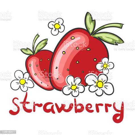 딸기 레드 여름 과일 로고 아이콘과 흰색 레터링 벡터 낙서 만화 스타일의 그래픽 그림입니다 채식 인쇄 포스터 카드 천연 유기농 디저트 달콤하고 신선한 베리 건강한 생활방식에