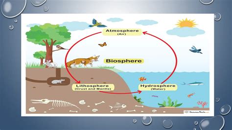 Components Of Environment Lithosphere Hydrosphere Atmosphere