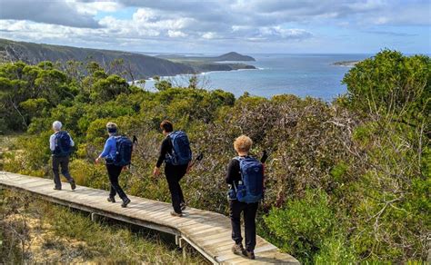 Newland Head Conservation Park A Coastal Wilderness Southern Ocean Walk