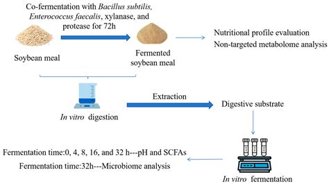 Integrated Metabolome And Microbiome Analysis Reveals The Regulatory Effects Of Fermented